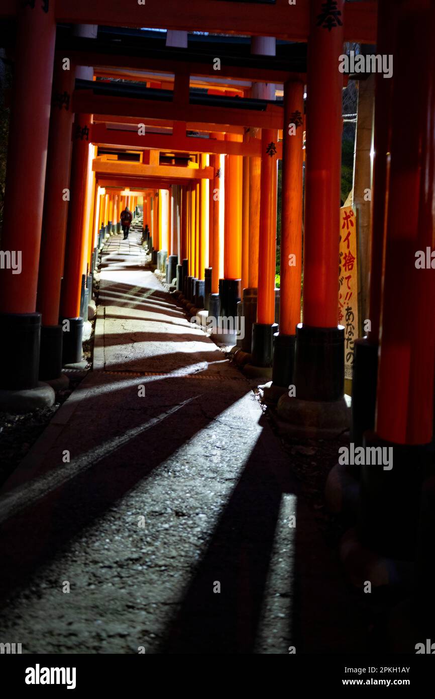 Kyoto, Japan. 6th Mar, 2023. Torii pathways in Mt. Inari at night with ...