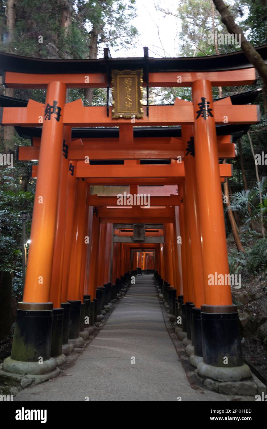 Kyoto, Japan. 6th Mar, 2023. Torii pathways in Mt. Inari.Fushimi Inari ...