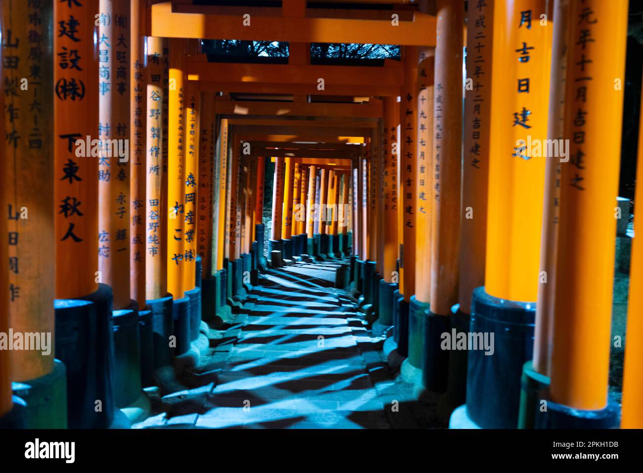 Kyoto, Japan. 6th Mar, 2023. Torii pathways in Mt. Inari at night with ...
