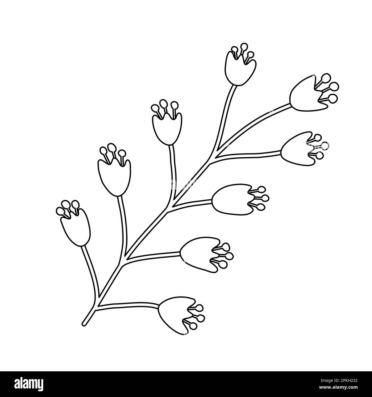 Hand drawn wild spring flowers icon, doodle style flat vector outline ...