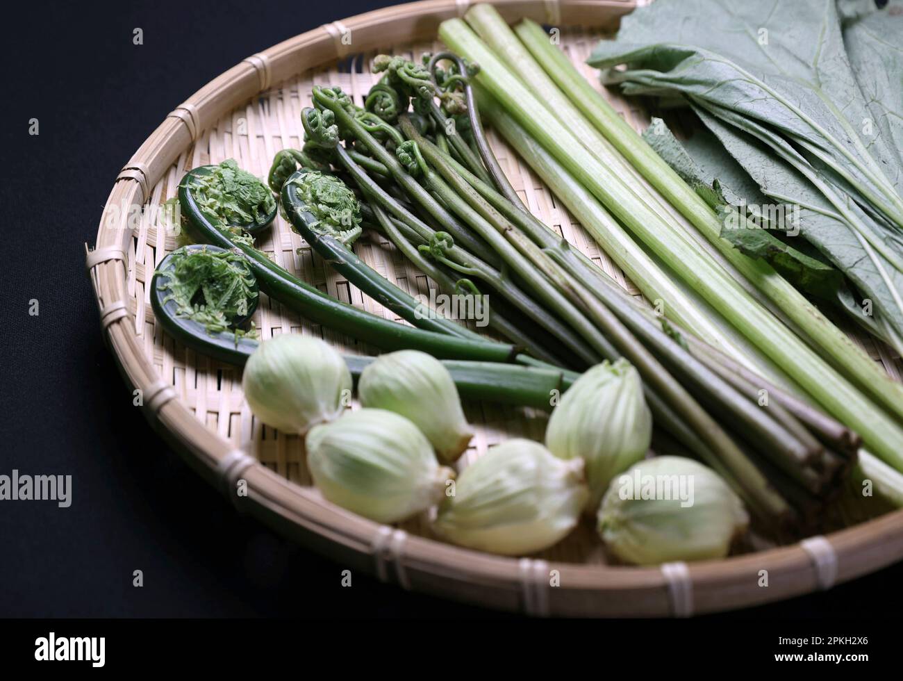 A picture shows edible wild plants, Fukinoto, Kogomi, Zenmai and Fuki ...