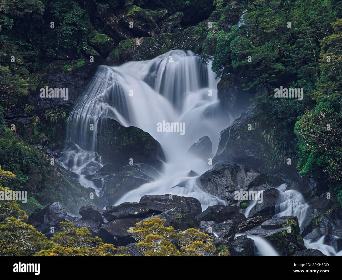 Roaring Billy Falls Haast Pass Stock Photo - Alamy
