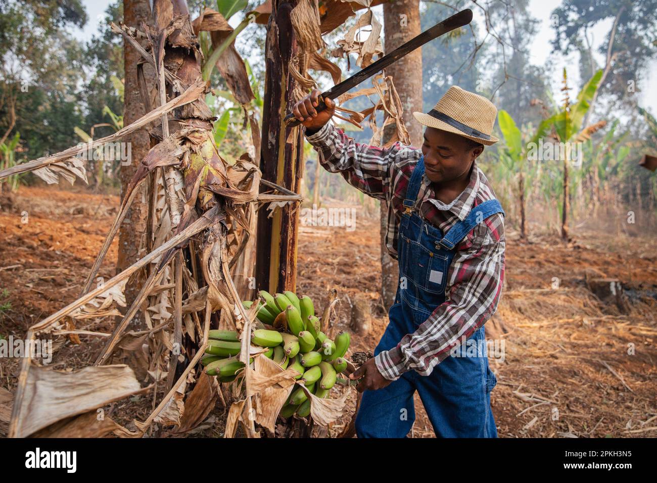 African man basket fresh fruit hi-res stock photography and images - Alamy