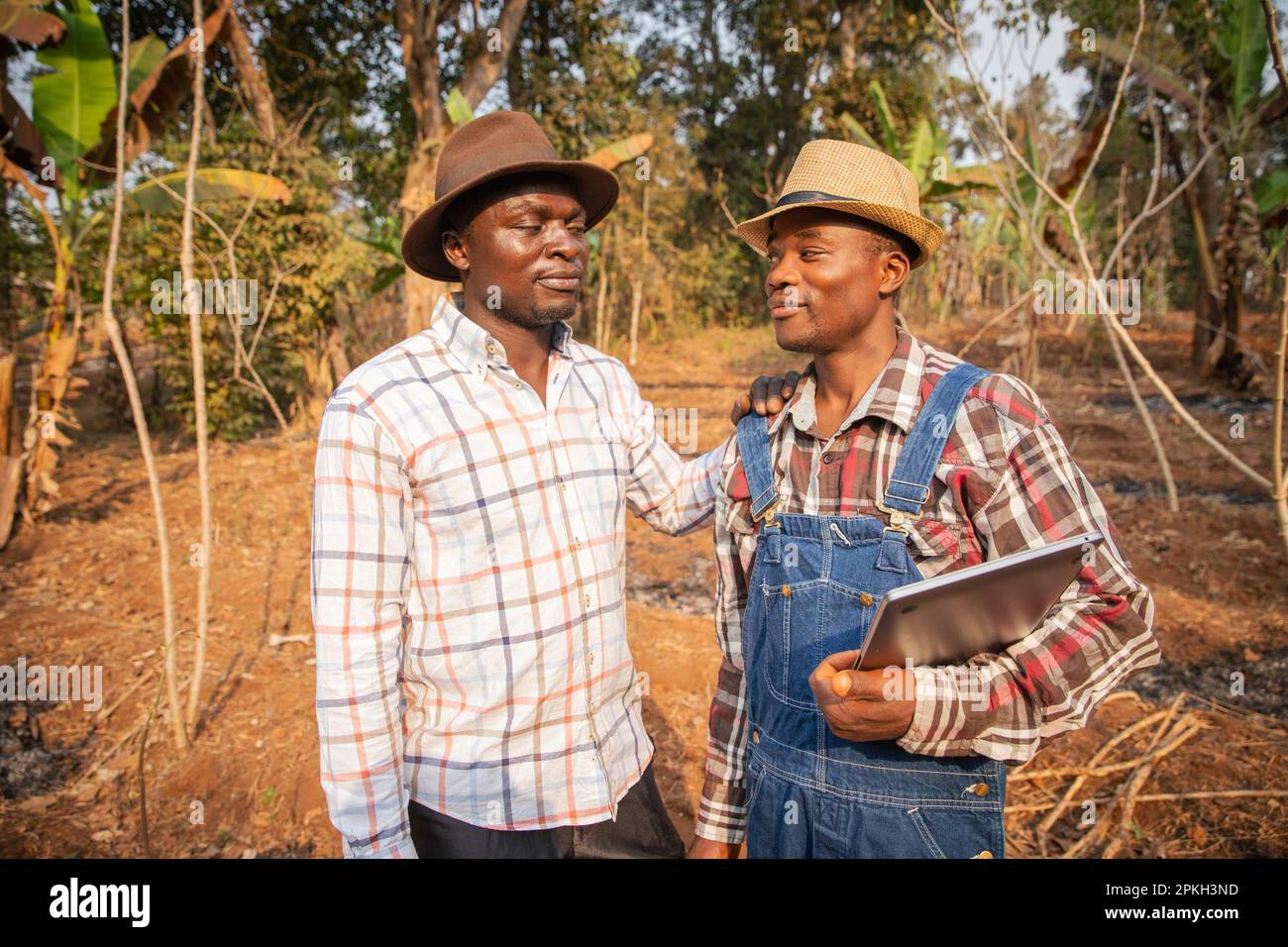 Two farmers negotiating in a field, agriculture in Africa Stock Photo ...