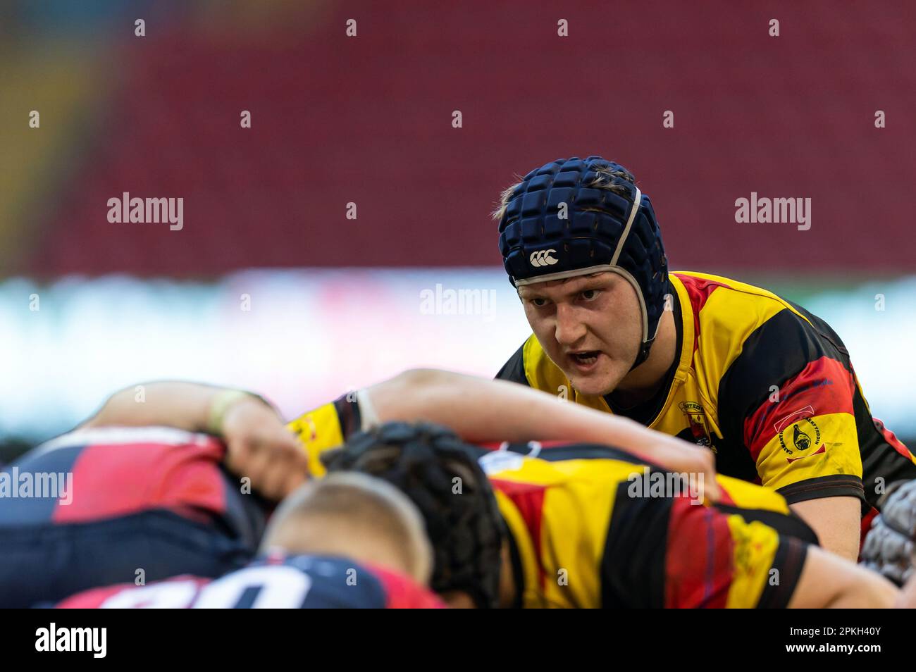 Rugby number 8 scrum hi-res stock photography and images - Alamy