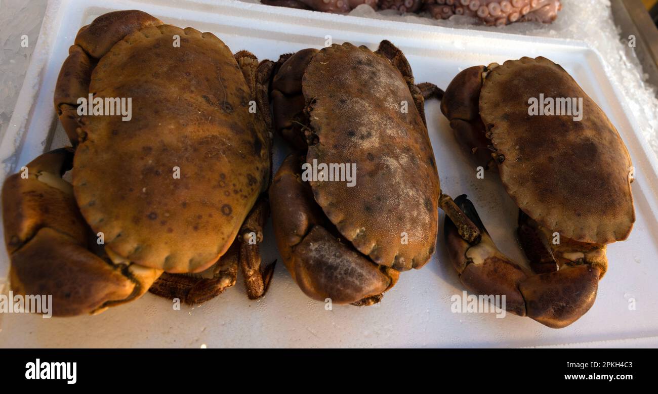 Qatar activity hi-res stock photography and images - Alamy