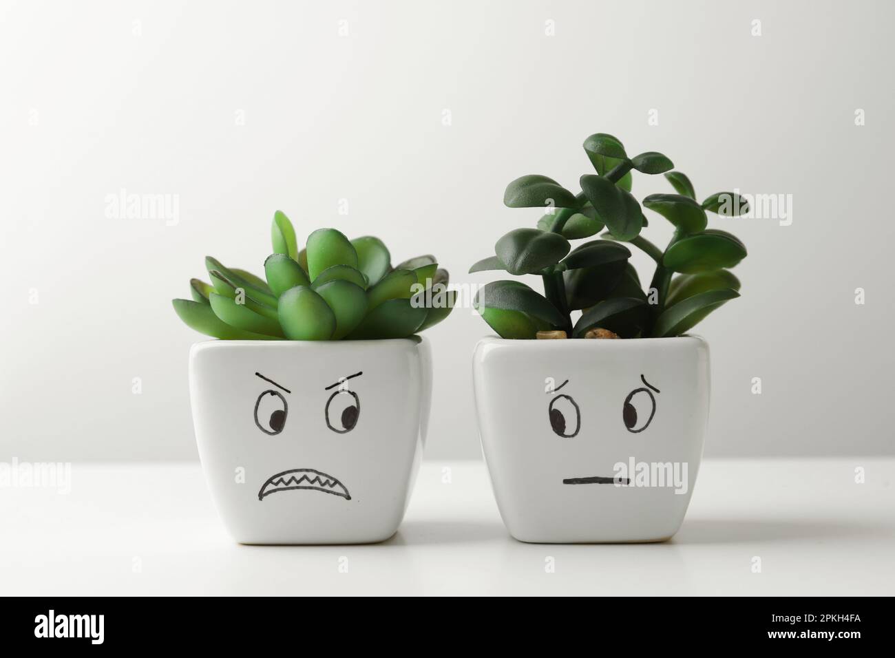 Beautiful potted houseplants with angry and concerned faces on white ...