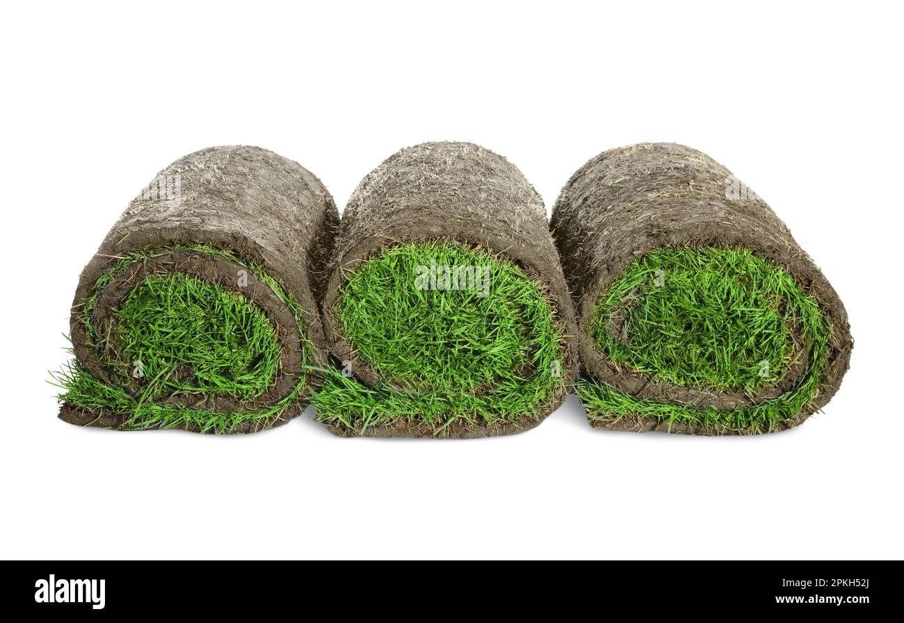 Turf rolls Cut Out Stock Images & Pictures - Alamy