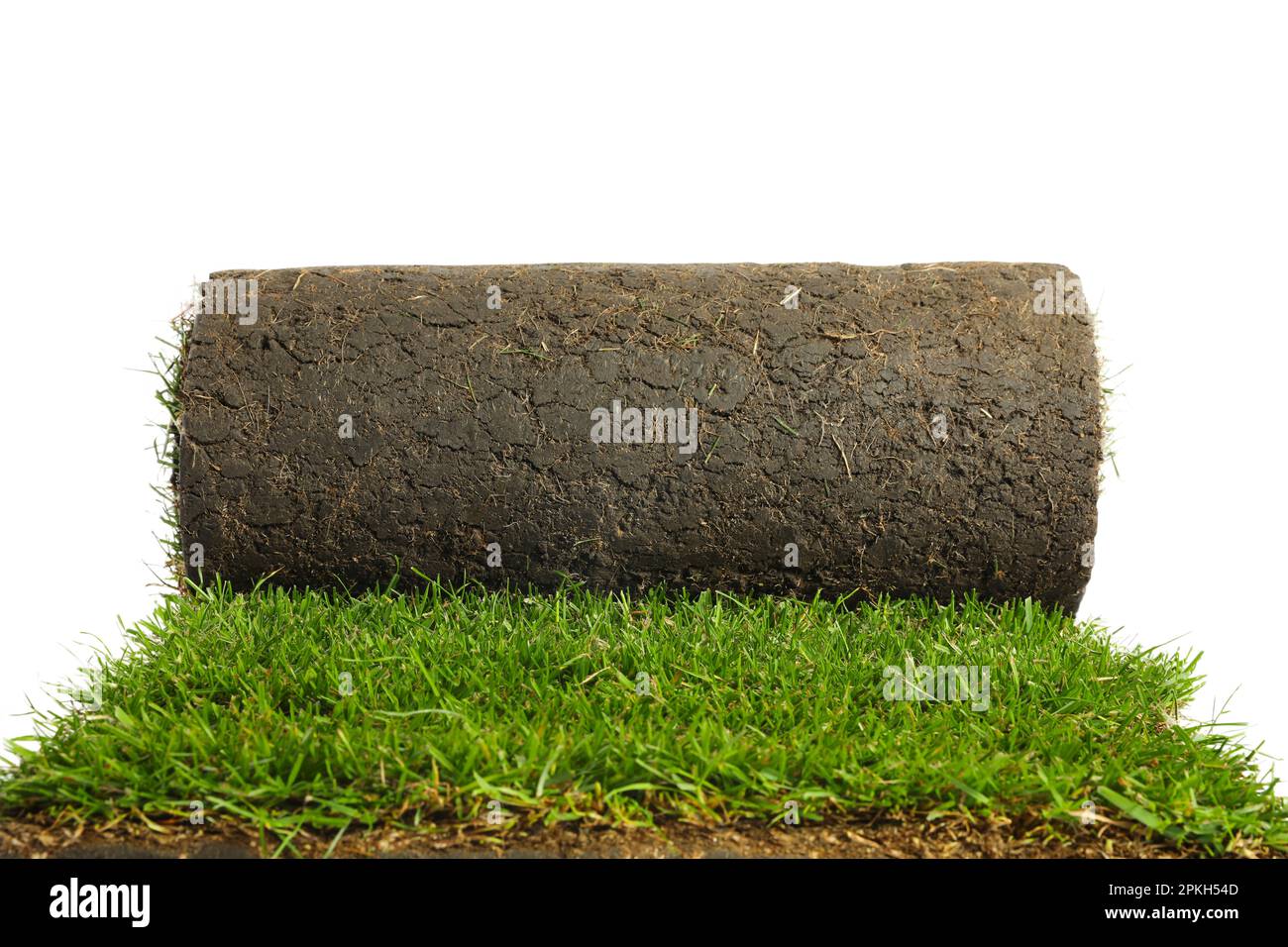Rolled sod with grass on white background Stock Photo - Alamy