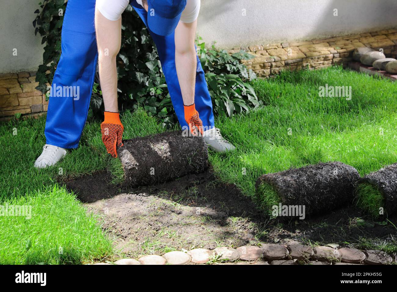 Gardener laying grass sod on backyard, closeup Stock Photo - Alamy