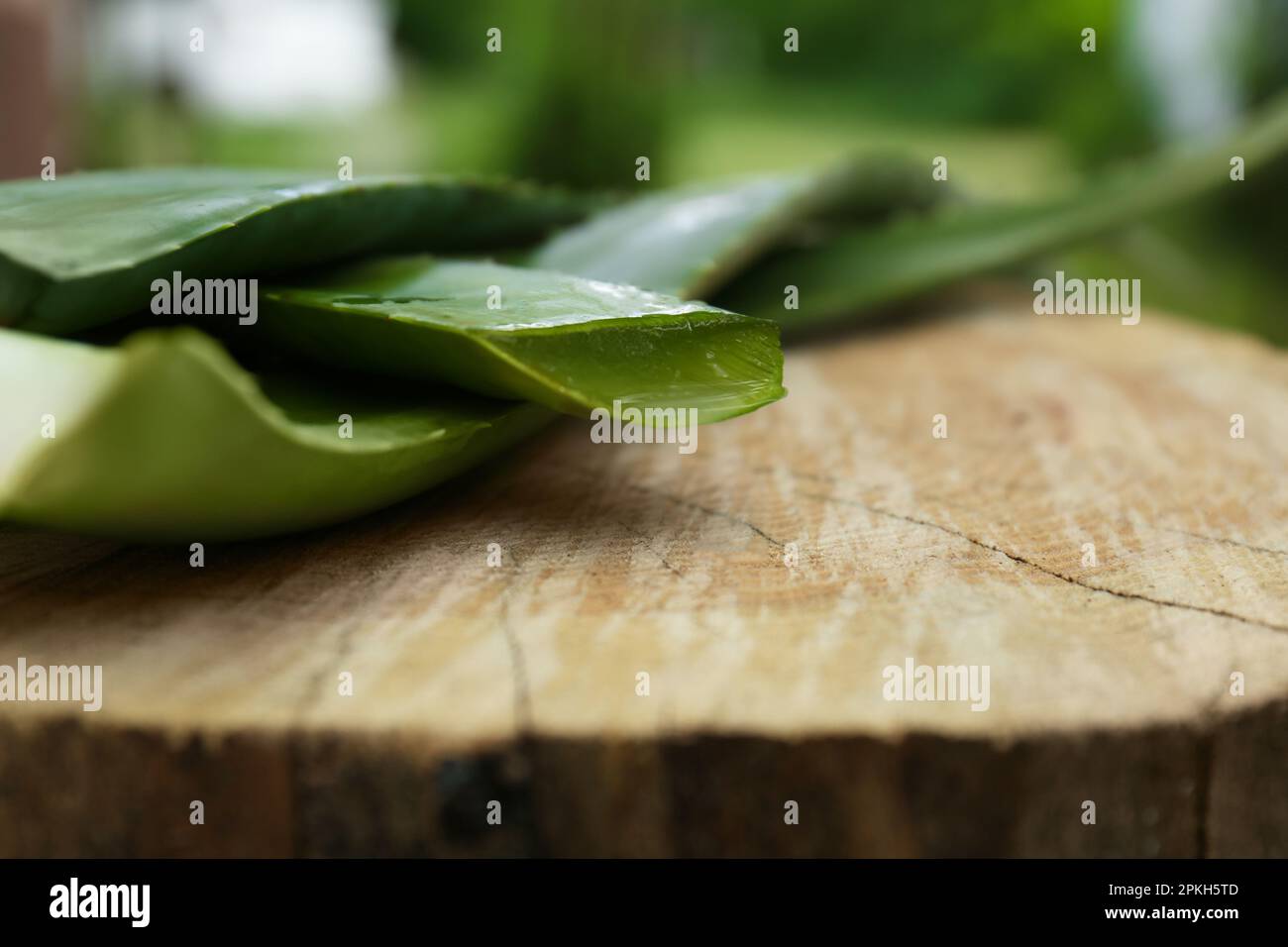 Fresh cut aloe vera leaves with dripping juice on wooden stump, closeup ...