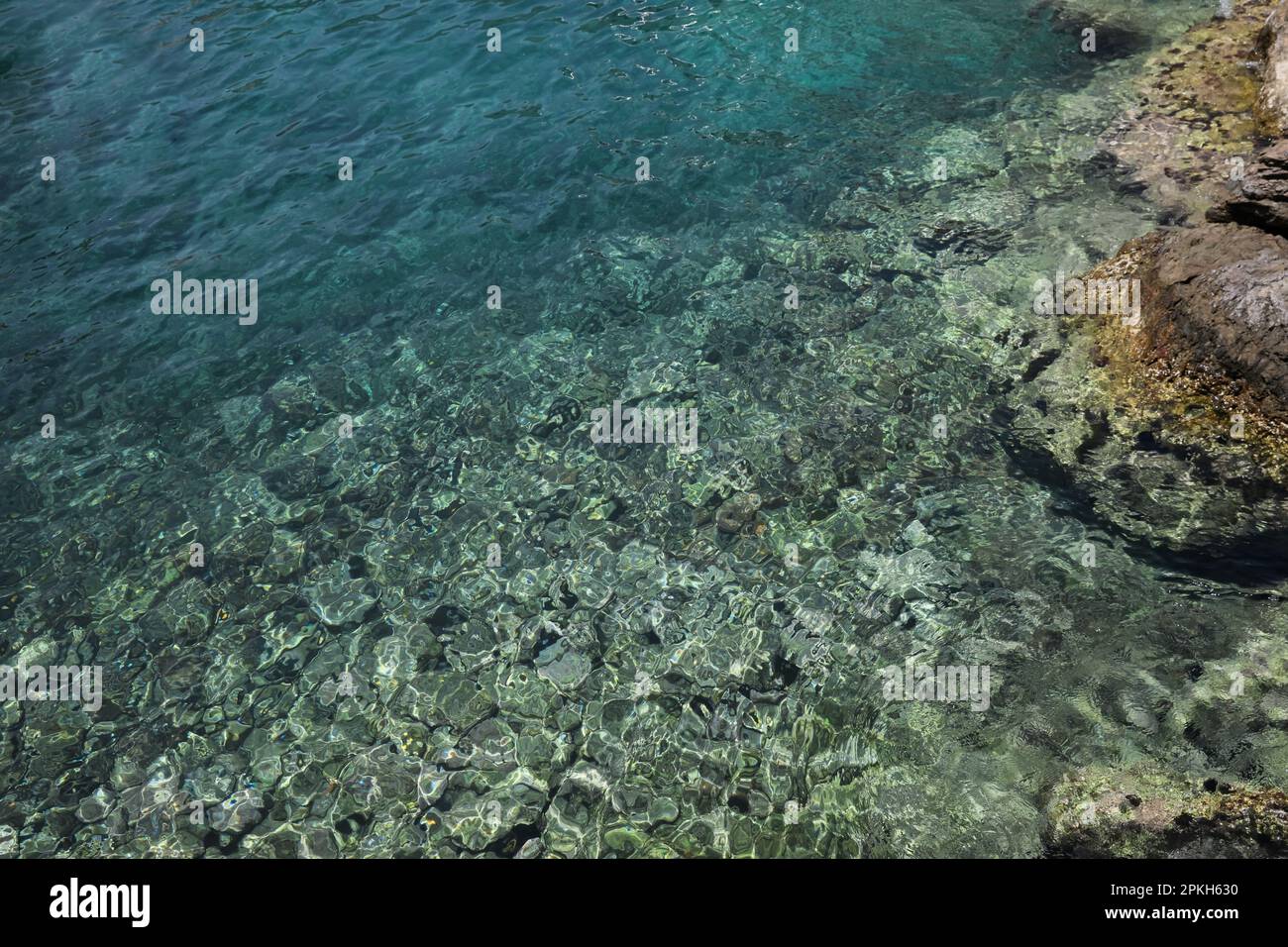 Shallow water with rocky sea bottom as background Stock Photo - Alamy