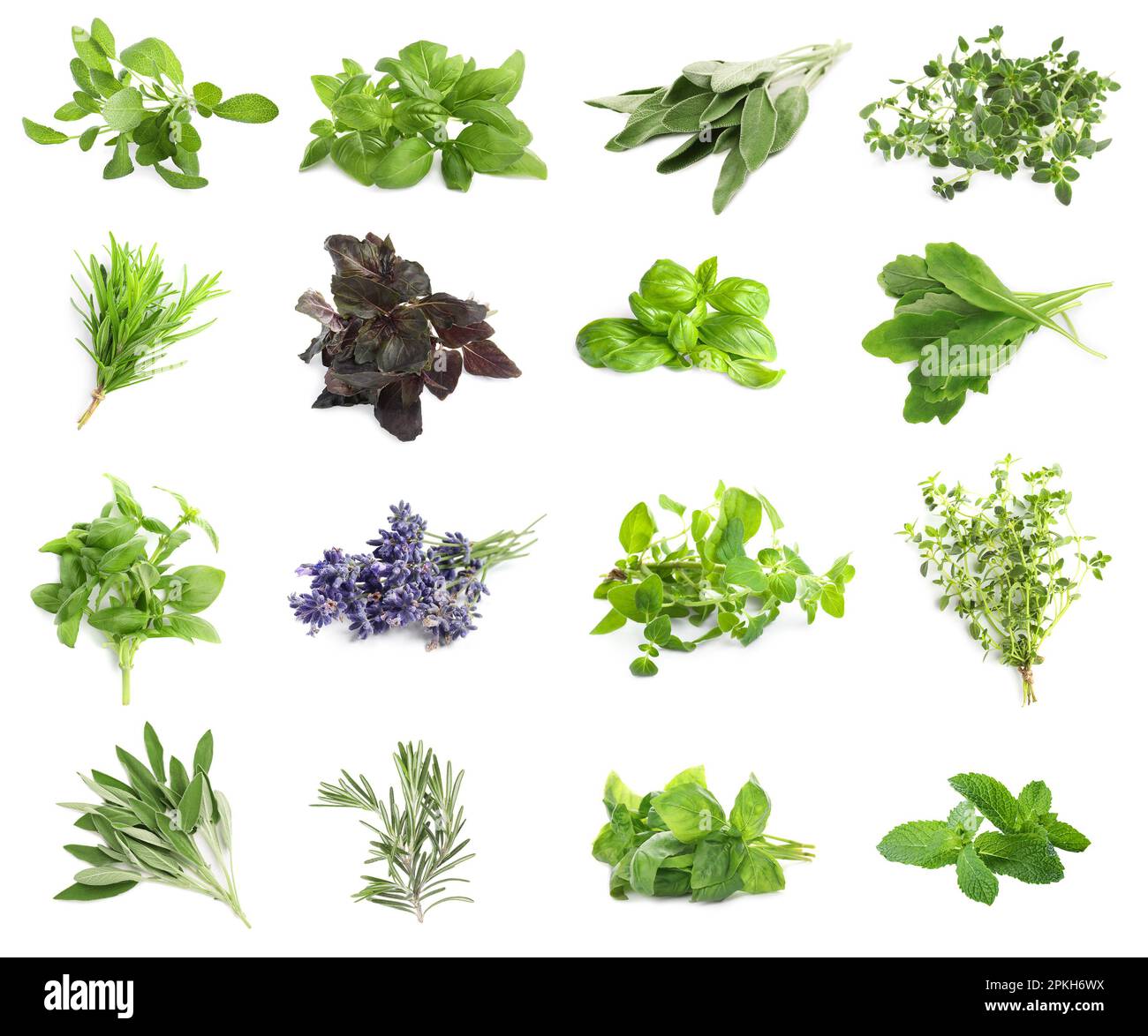 Set with different aromatic herbs on white background Stock Photo - Alamy