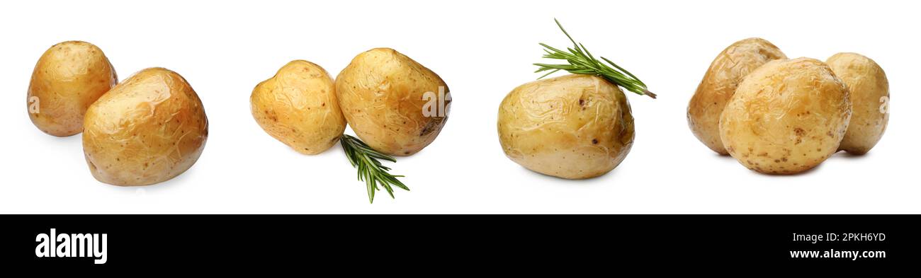 Set with delicious hot baked potatoes on white background. Banner ...