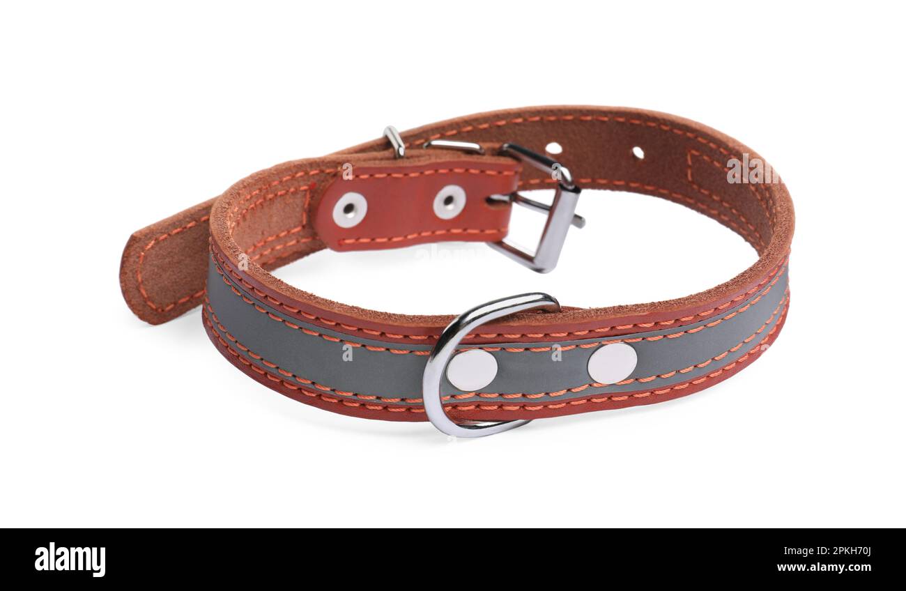 Grey neck collar Cut Out Stock Images & Pictures - Alamy