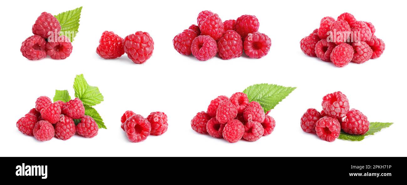 Set with delicious ripe raspberries on white background. Banner design ...