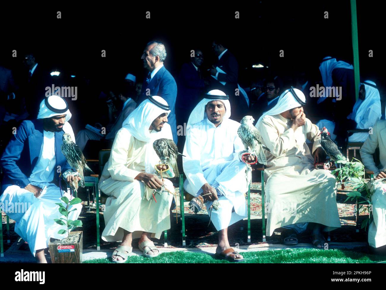 Arab falconers with their birds Abu Dhabi World Falconry Conference, 1975 Stock Photo - Alamy
