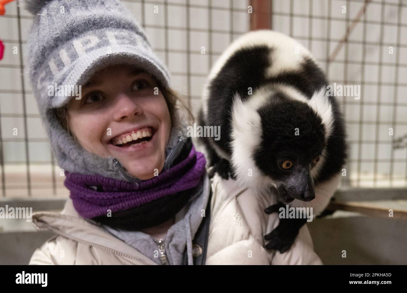 Saint David De Falardeau, Canada. 07th Apr, 2023. A lemur stands on the ...
