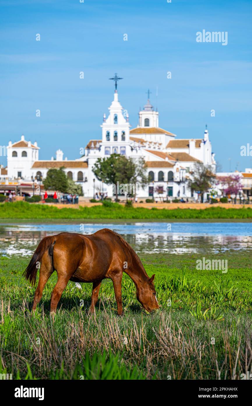The church of El Rocío, Spain and the view of the lake with the horse ...