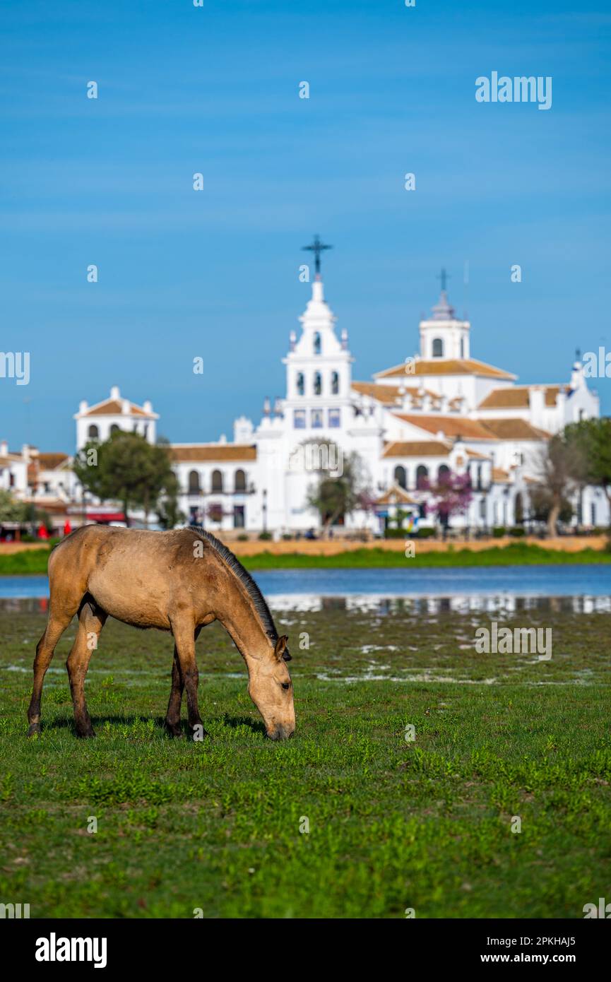 The church of El Rocío, Spain and the view of the lake with the horse ...