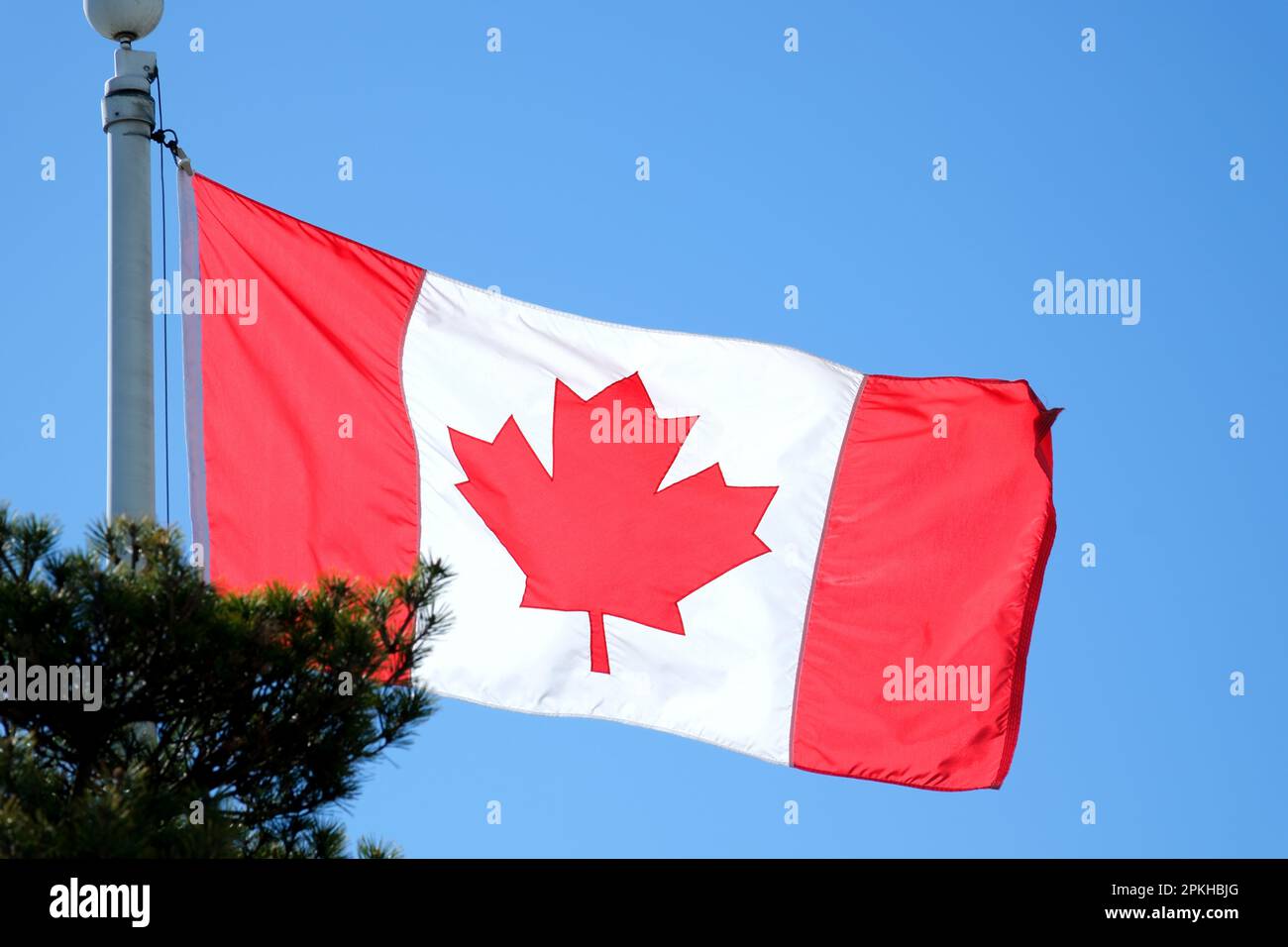 A close shot of the flag of Canada being illuminated by the sun, flying ...