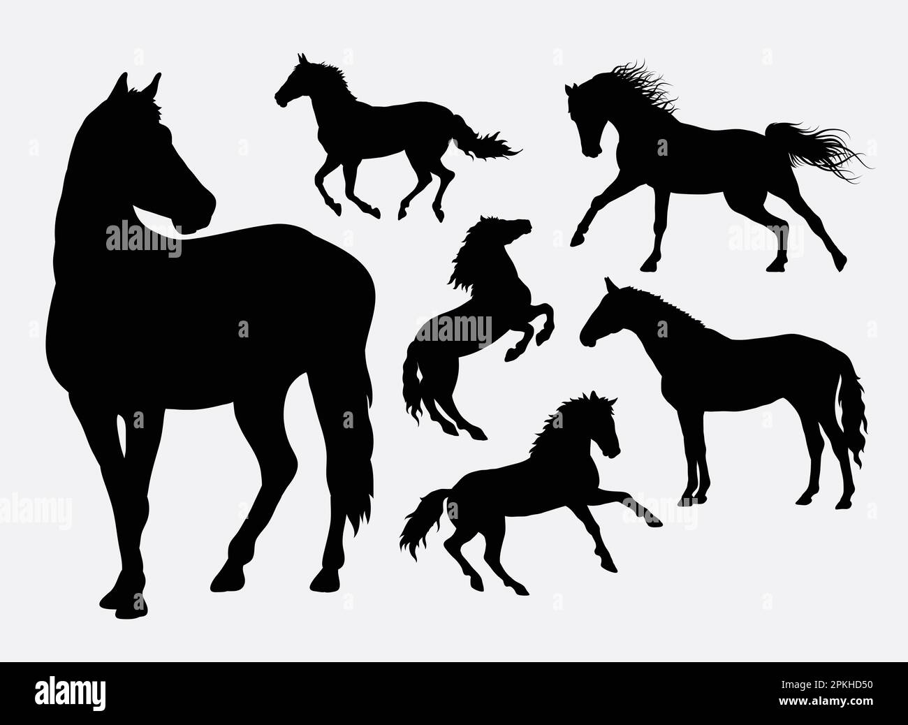 Editable horse Black and White Stock Photos & Images - Alamy