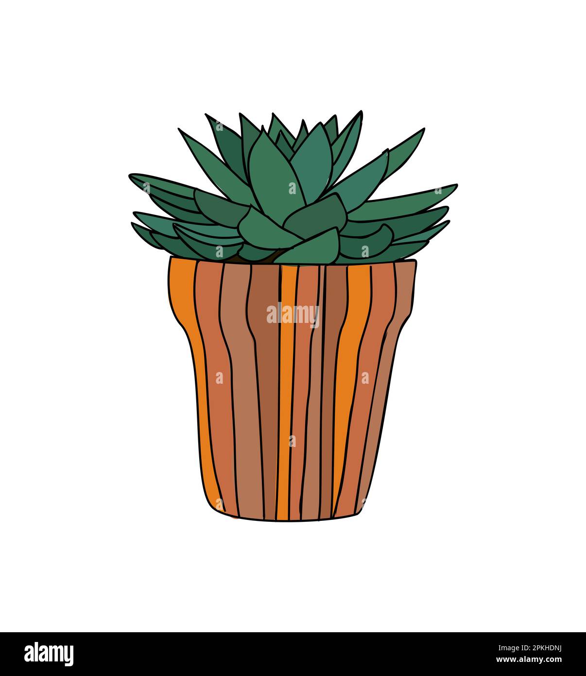 Container succulent Stock Vector Images - Alamy