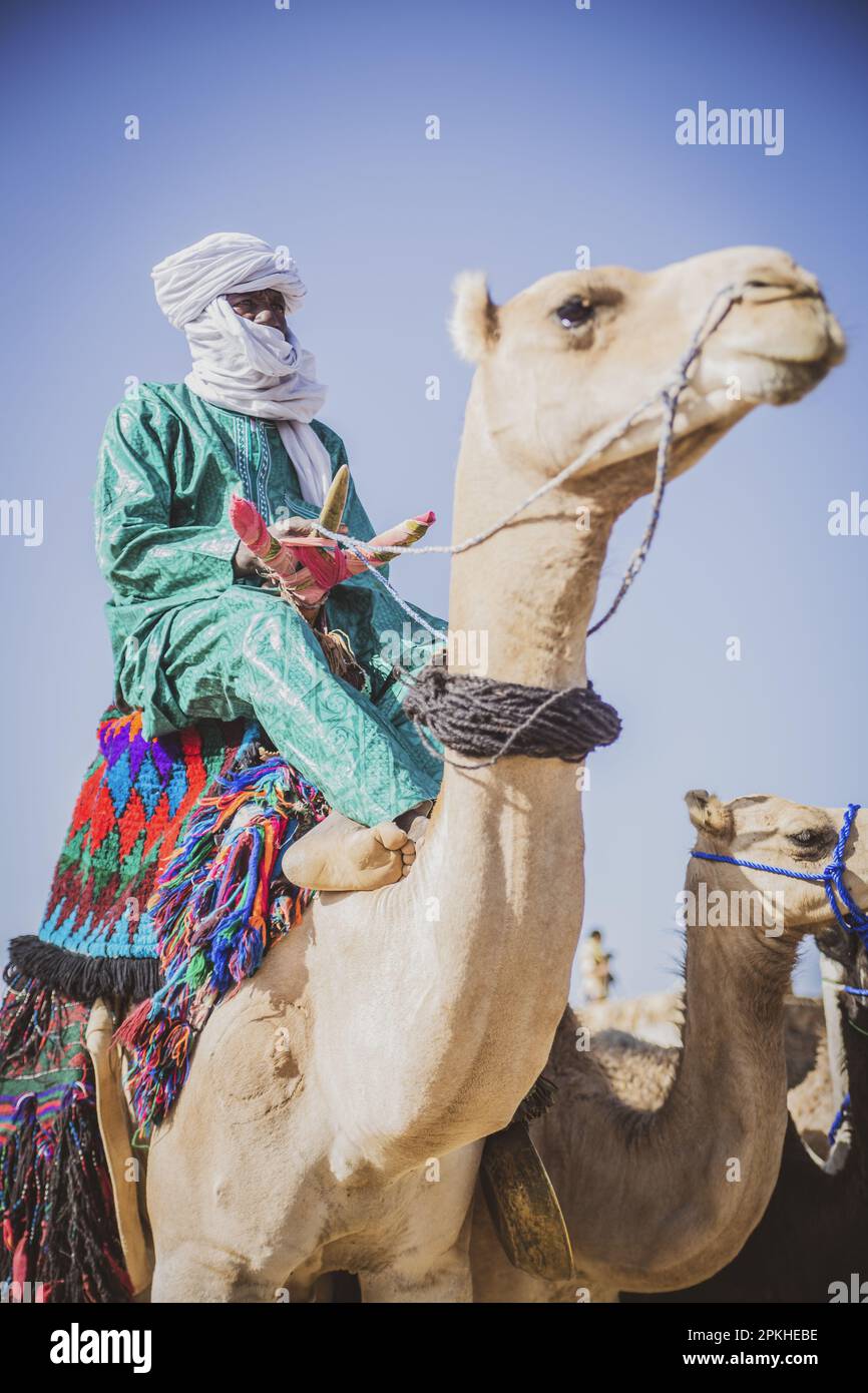 Camel raider in the Sahara Desert (Tamanrasset Stock Photo - Alamy