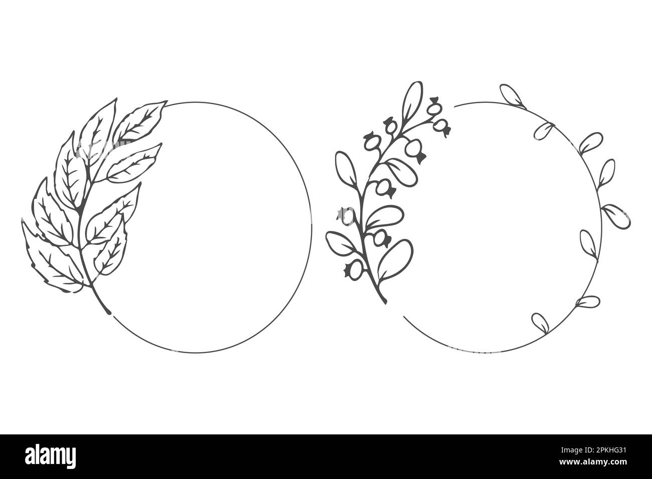 floral bohemian elegant aesthetic circle frame with leaves in doodle ...