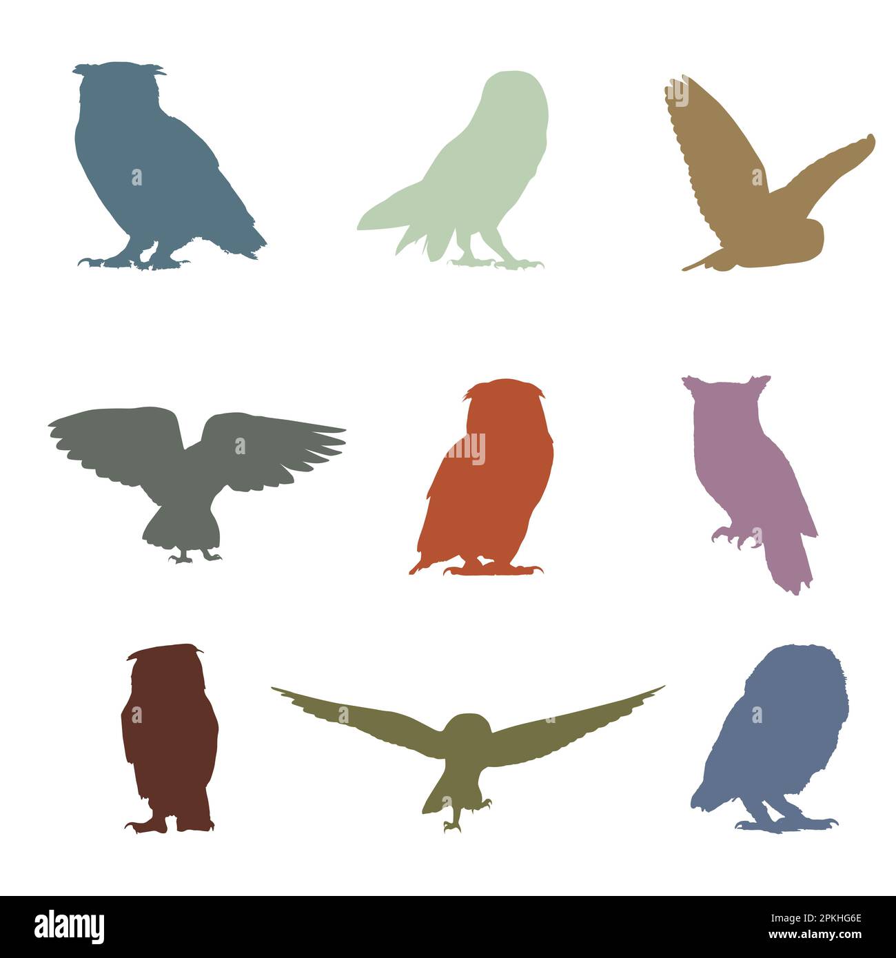 Colorful Owl Collection. Wild forest birds Set Of 9 Stock Vector Image ...