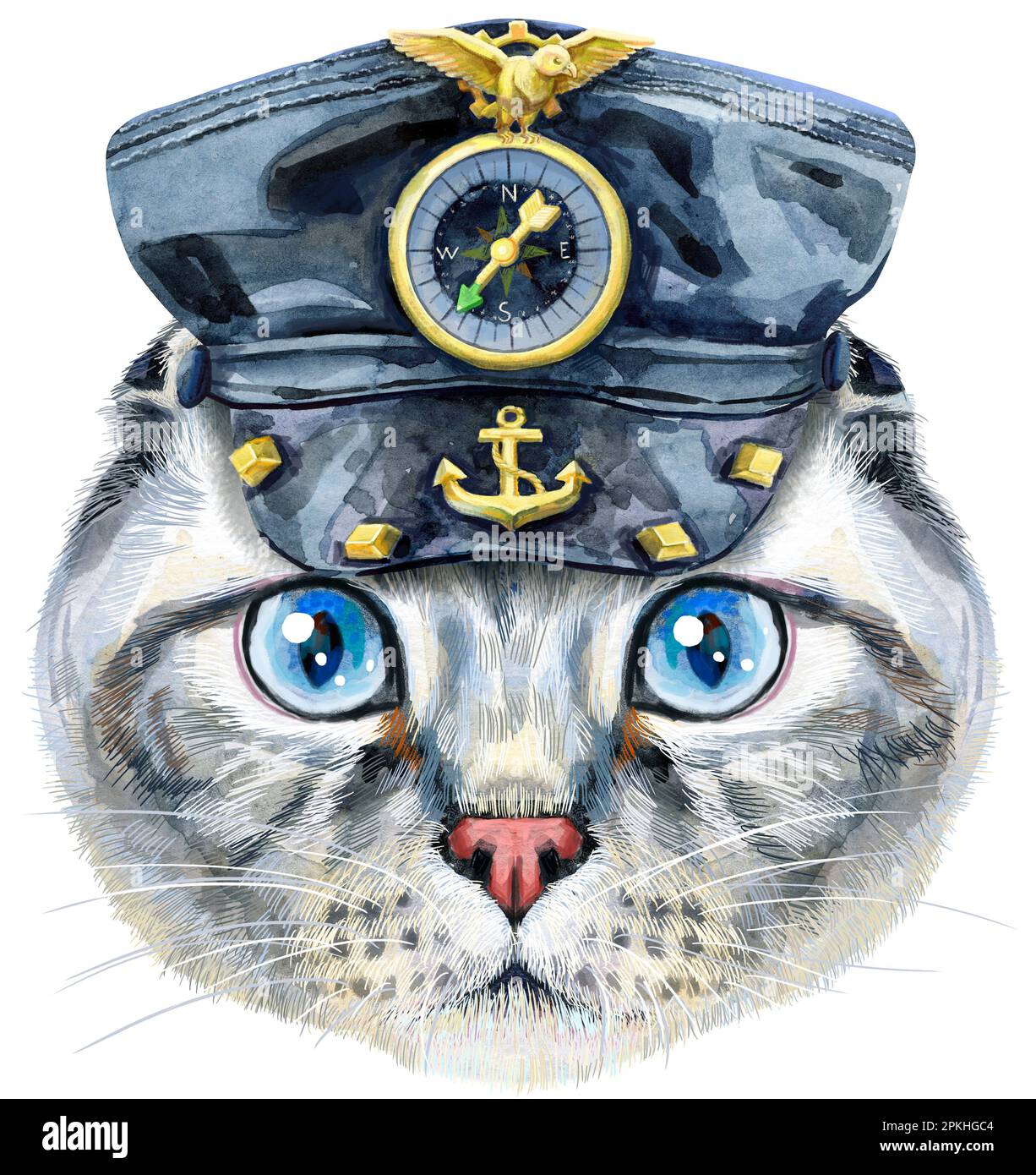 Cute cat in a captain's cap. Cat for t-shirt graphics. Watercolor ...