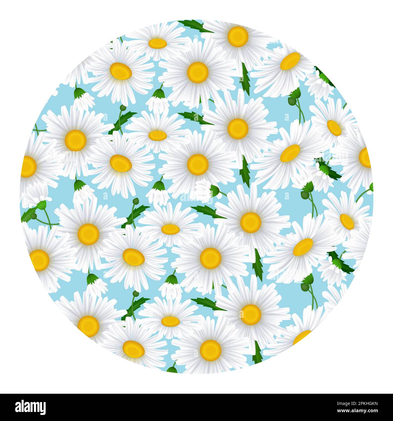 Beautiful daisy flowers round Stock Vector Images - Alamy