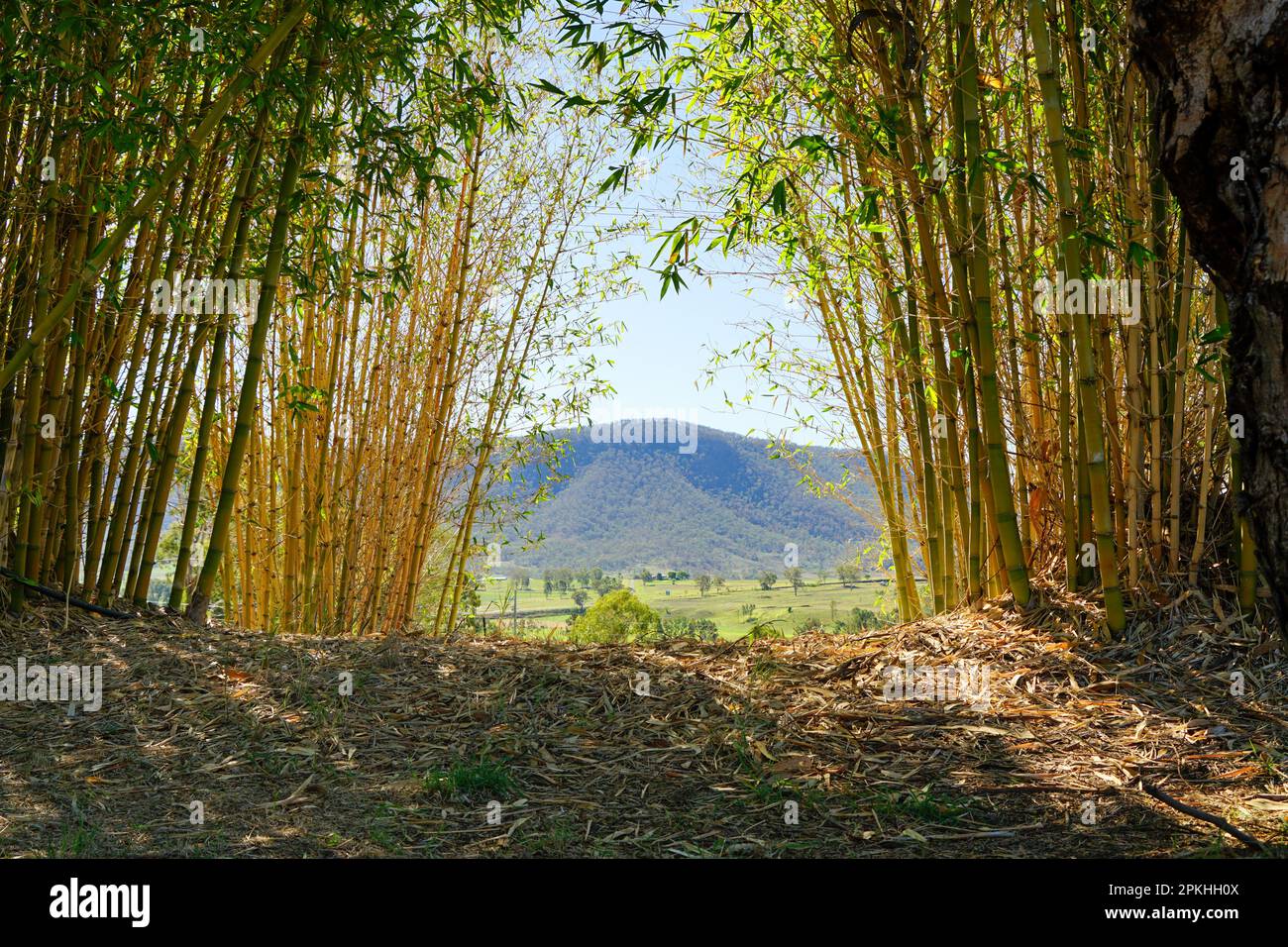 Maryvale mountain hi-res stock photography and images - Alamy