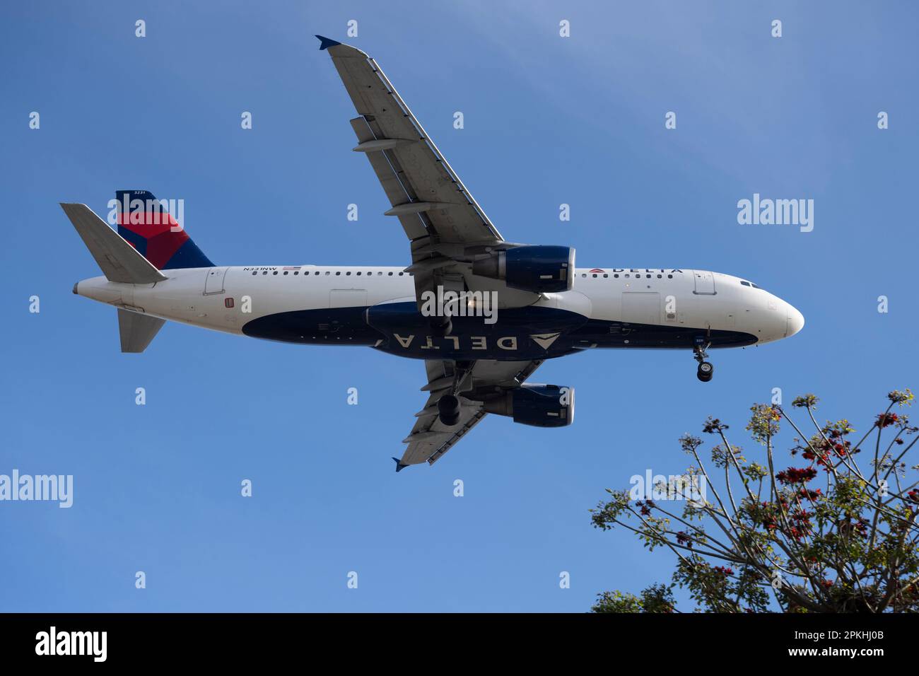 Delta Airbus A320 Interior
