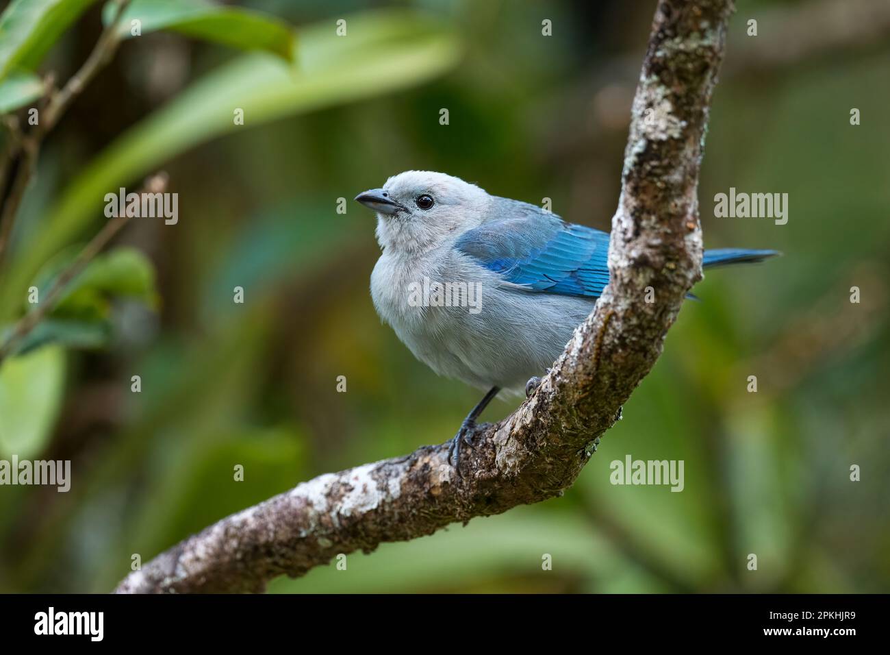 Costa central de peru hi-res stock photography and images - Alamy