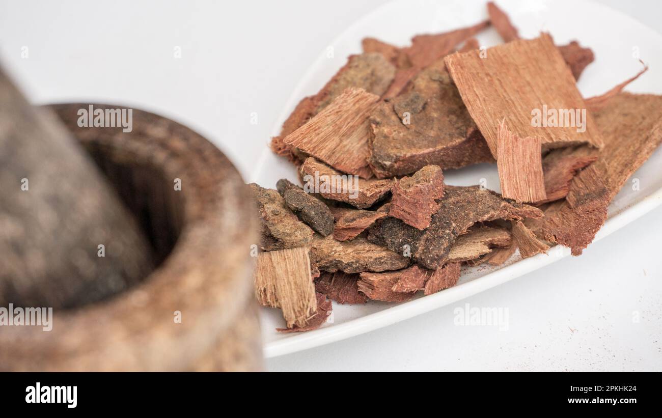 Cassia Fistula, Golden Shower tree bark Stock Photo - Alamy