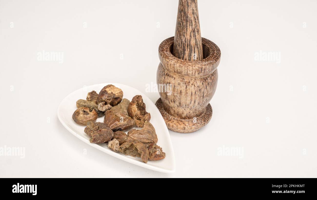 Triphala ayurvedic medicinal plant comprise of chebulic myrobalan fruit ...