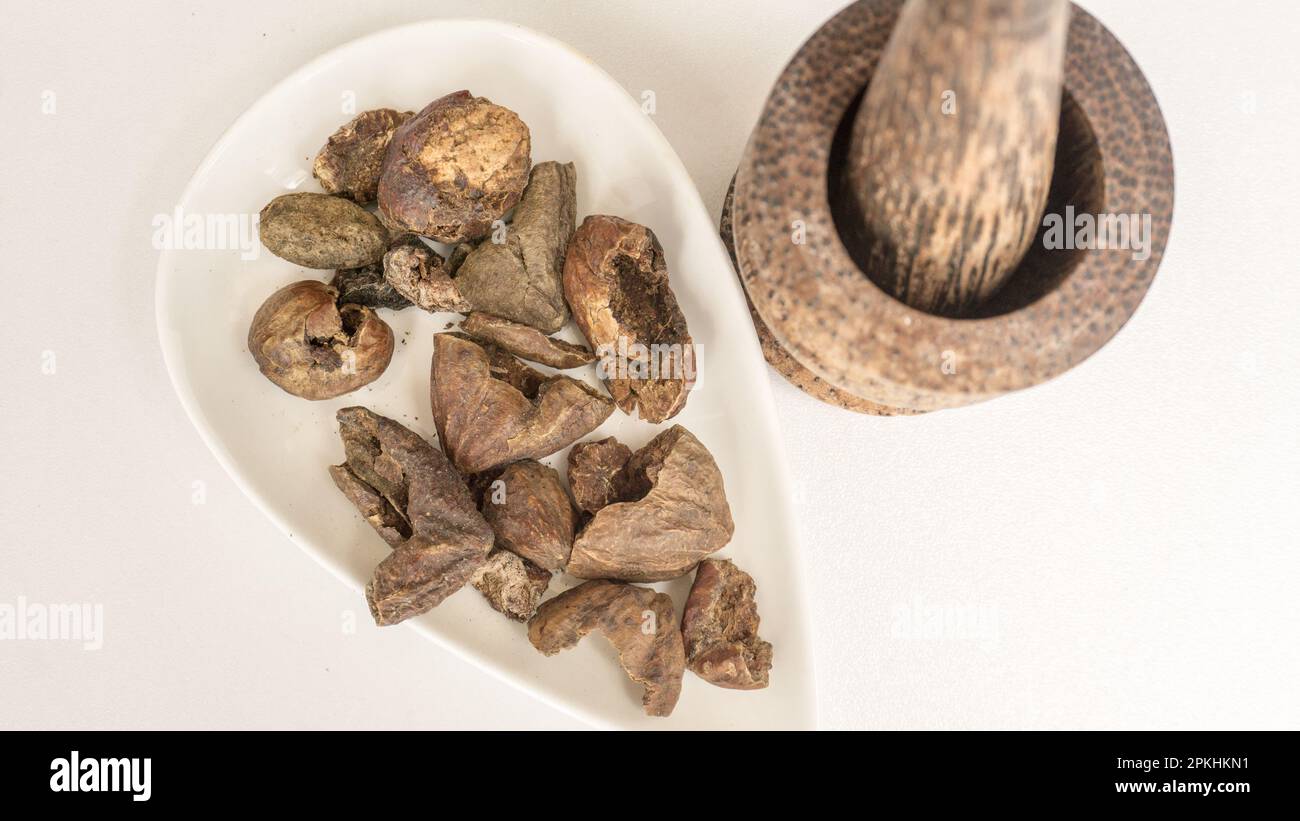 Triphala ayurvedic medicinal plant comprise of chebulic myrobalan fruit ...