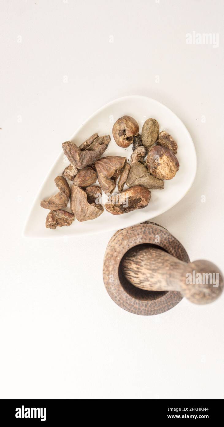 Triphala ayurvedic medicinal plant comprise of chebulic myrobalan fruit ...