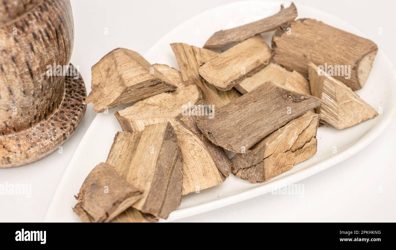 Vitex negundo/ Chinese chaste tree ayurvedic plant bark Stock Photo - Alamy
