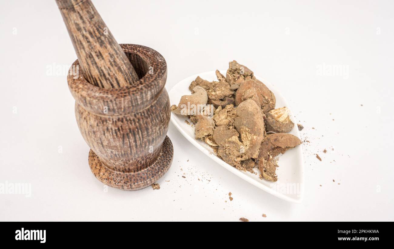 Baheda Medicinal Ayurvedic medicine, Haritaki fruit Stock Photo - Alamy