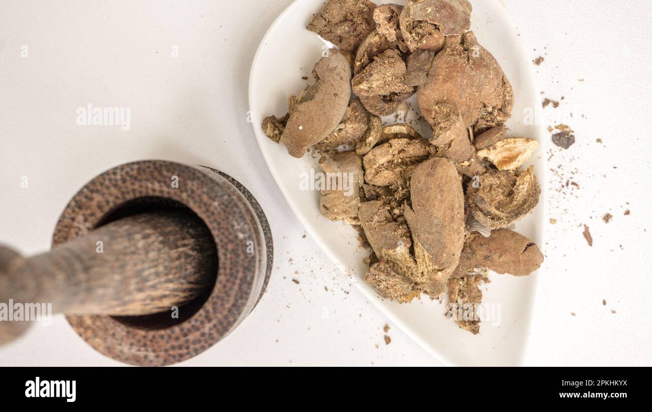 Baheda Medicinal Ayurvedic medicine, Haritaki fruit Stock Photo - Alamy