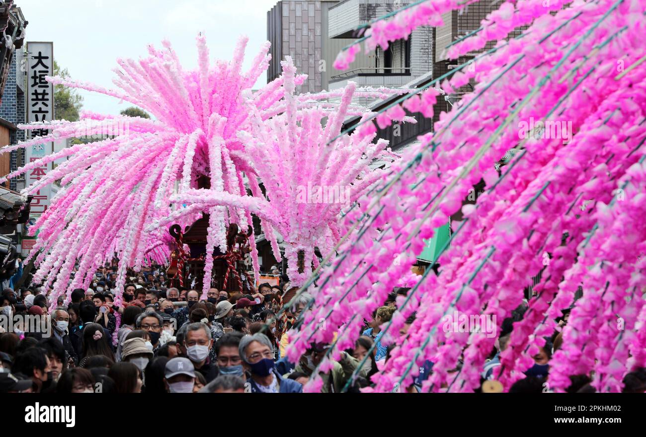 Flower mikoshi (floats) are carried during the Mino Festival, Hachiman ...