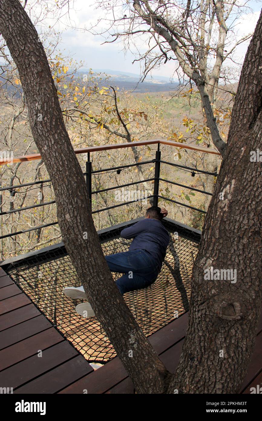 Dark-haired Latino adult man relaxes in a hanging net of a glamping ...