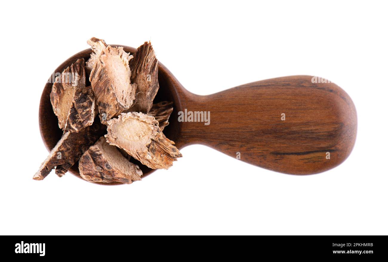 Calamus root in wooden spoon, isolated on white background. Sweet flag ...
