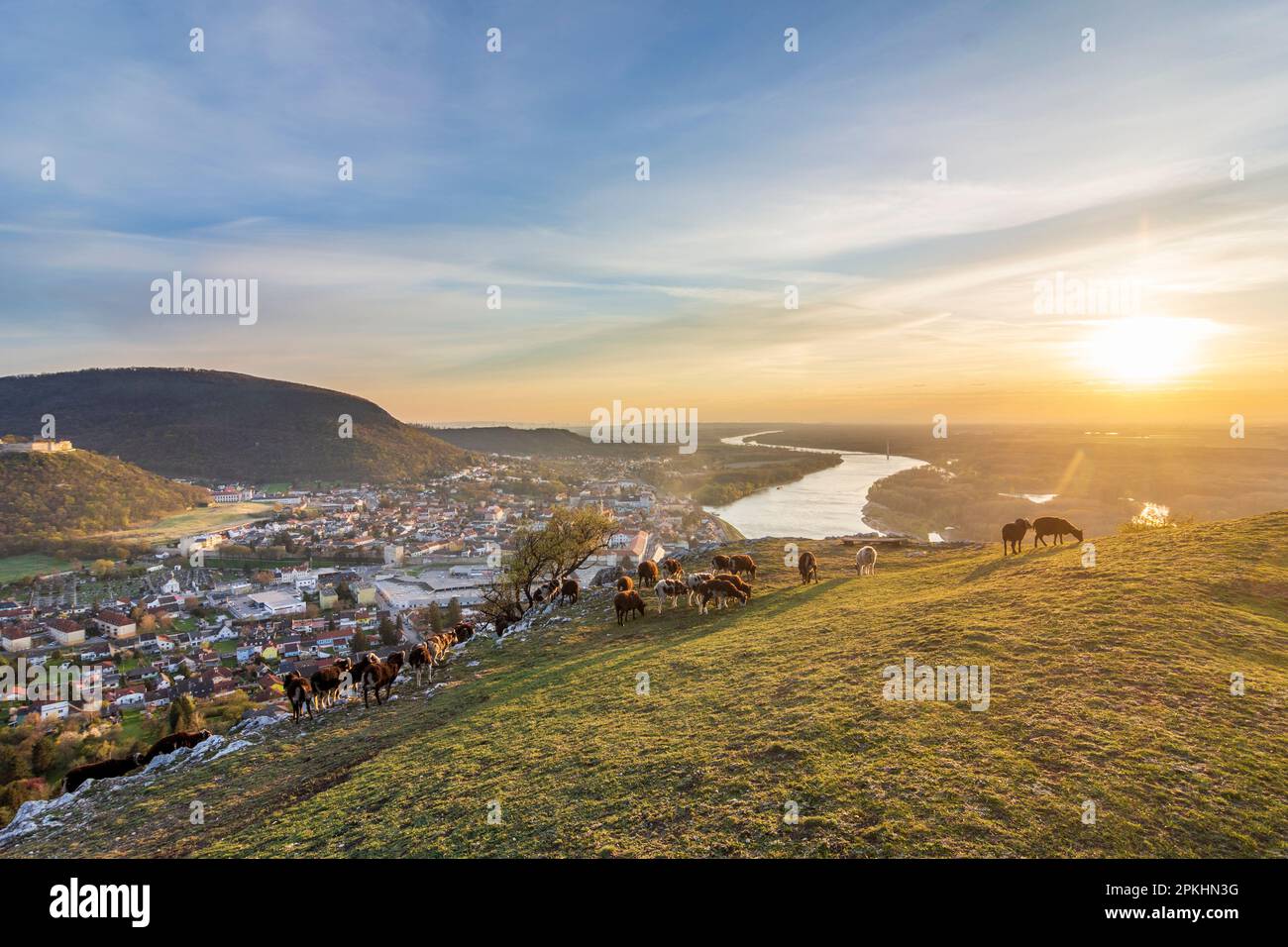 Nationalpark dona hi-res stock photography and images - Alamy