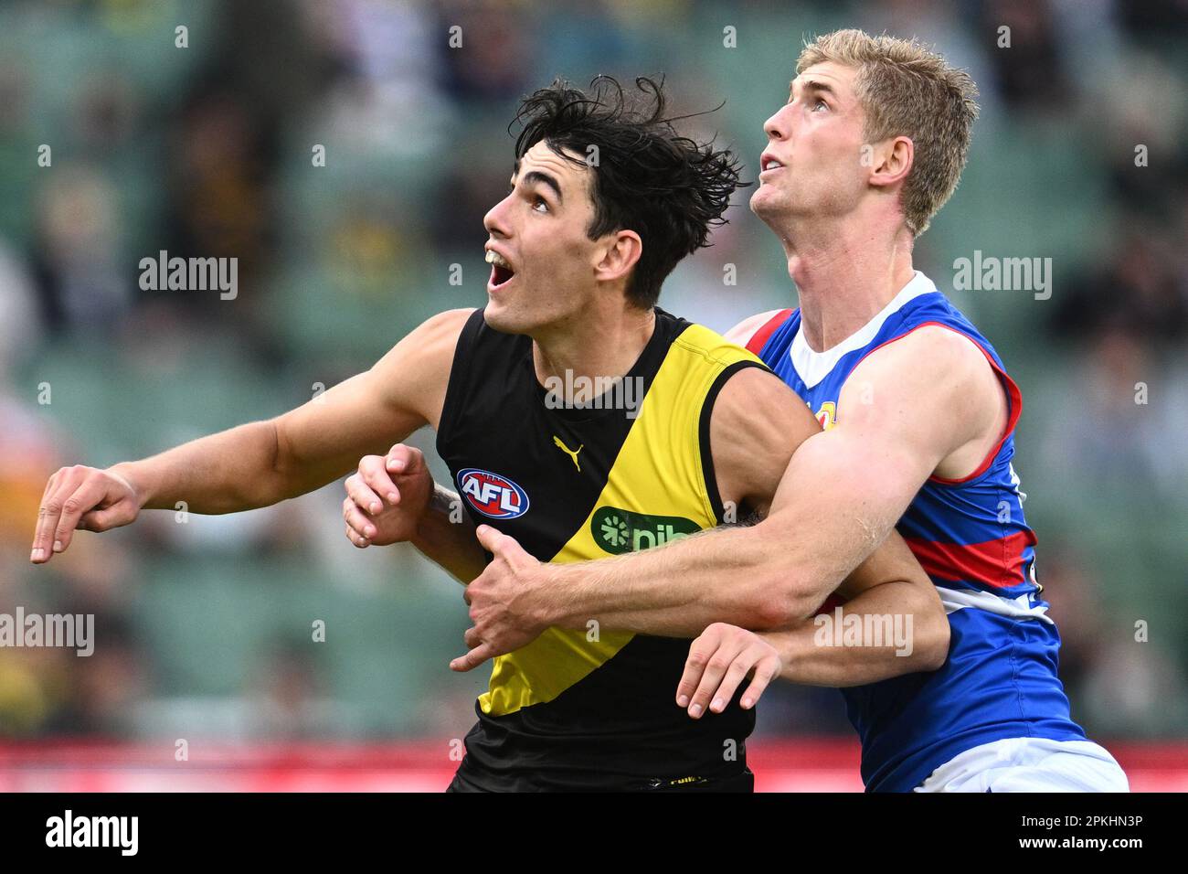 Samson Ryan of Richmond (left) and Tim English of Western Bulldogs ...