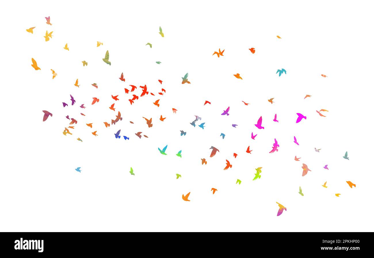 Abstract colored flying birds. Mixed media. Vector illustration Stock ...