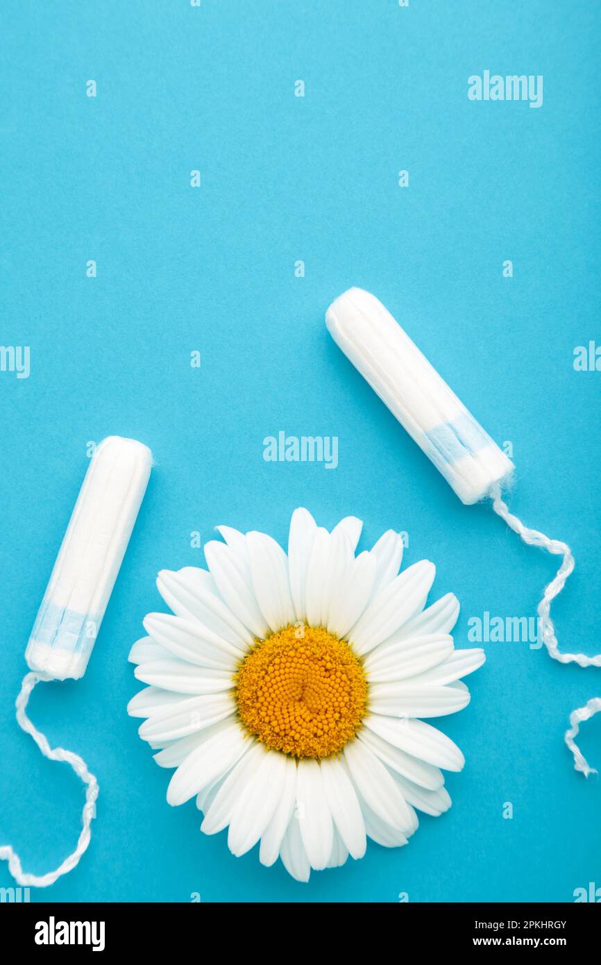 Medicinal chamomile flower and menstrual sanitary tampon. Medical ...