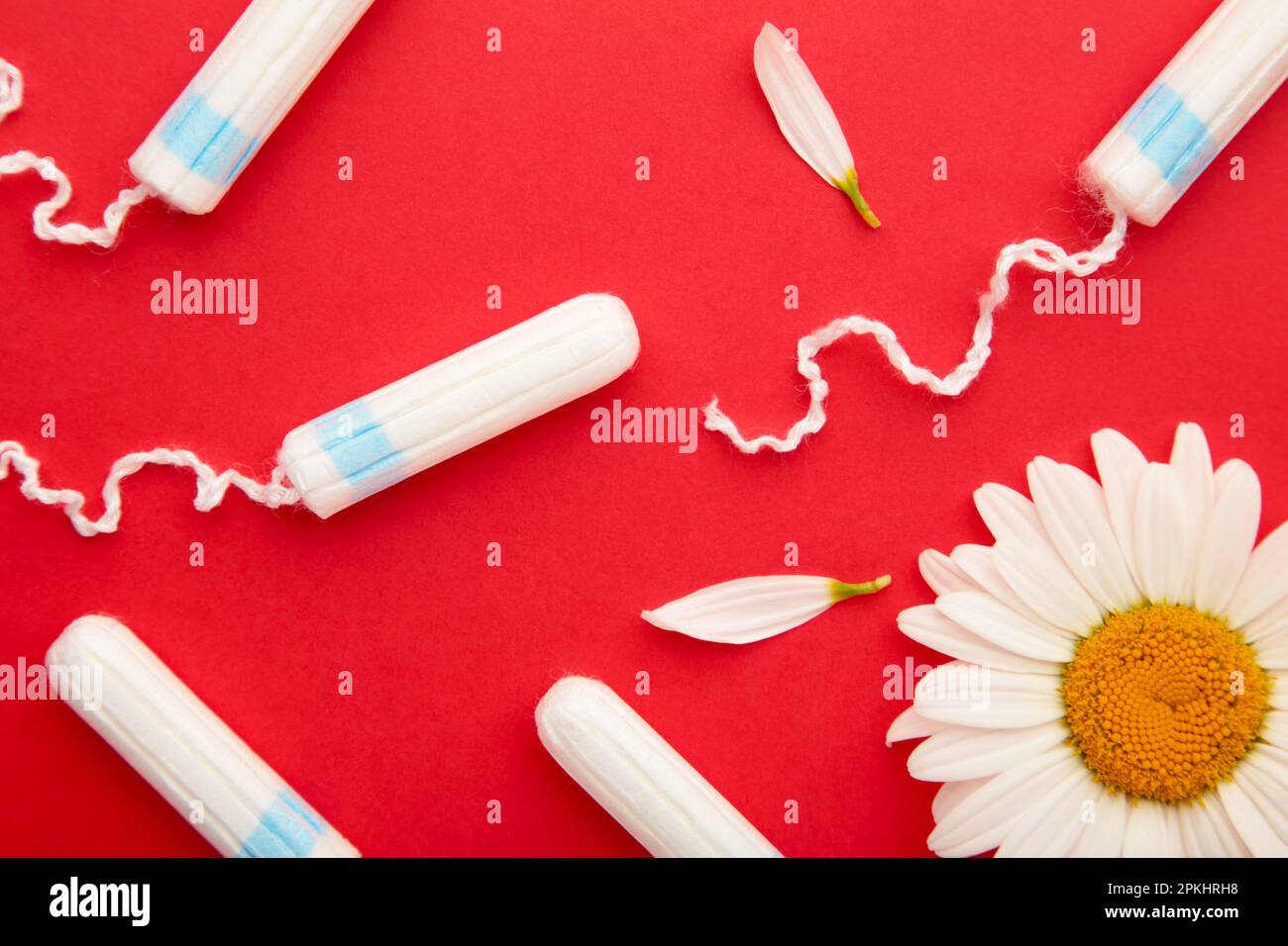 Medicinal chamomile flower and menstrual sanitary tampon. Medical ...